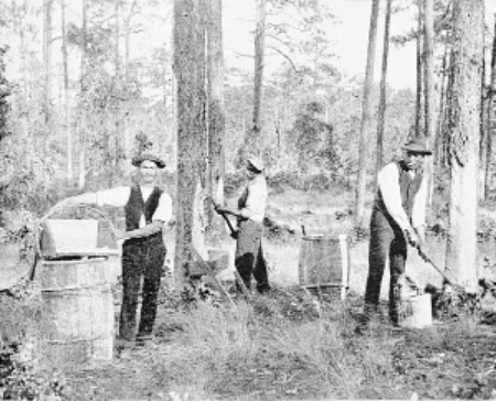 Turpentine versus White Spirit in Beeswax Furniture Polish — and why it ...