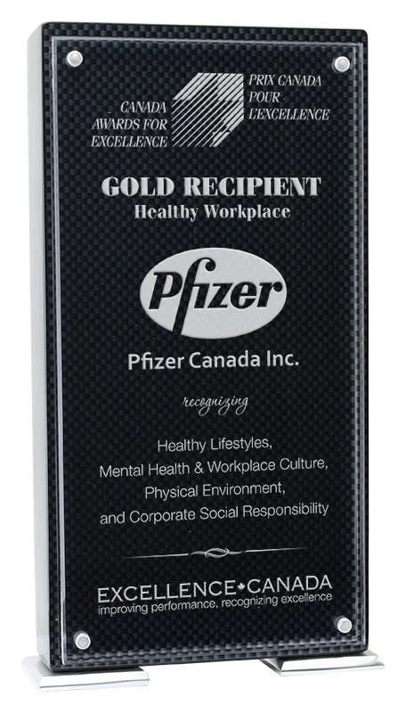 Vista Carbon Fiber Plaque Black (Includes Engraving) — Trophy Gallery ...