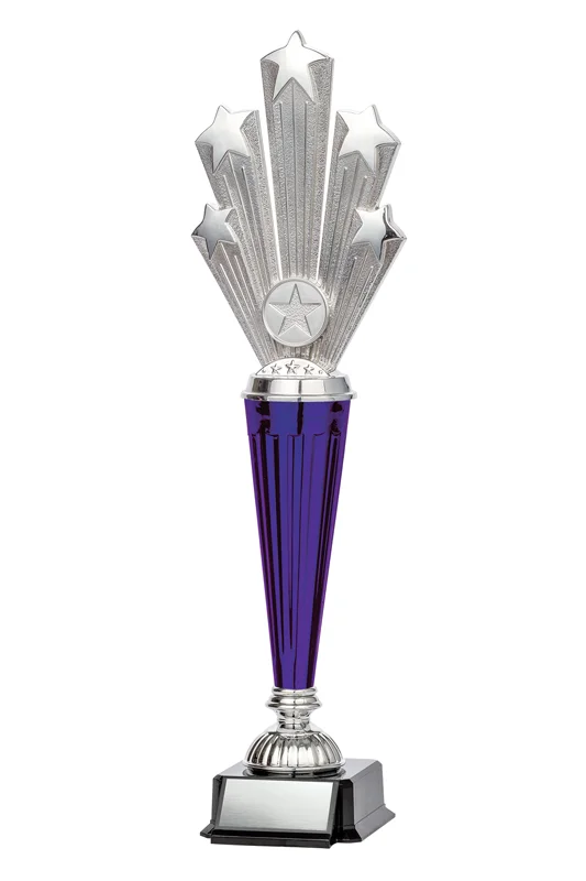 Beauty Pageant Awards 👑 — Trophy Gallery Canada, Shop Online, 5000 ...