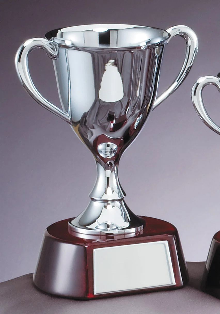 Silver Metal Cup (Includes Engraving) — Trophy Gallery Canada, Shop ...