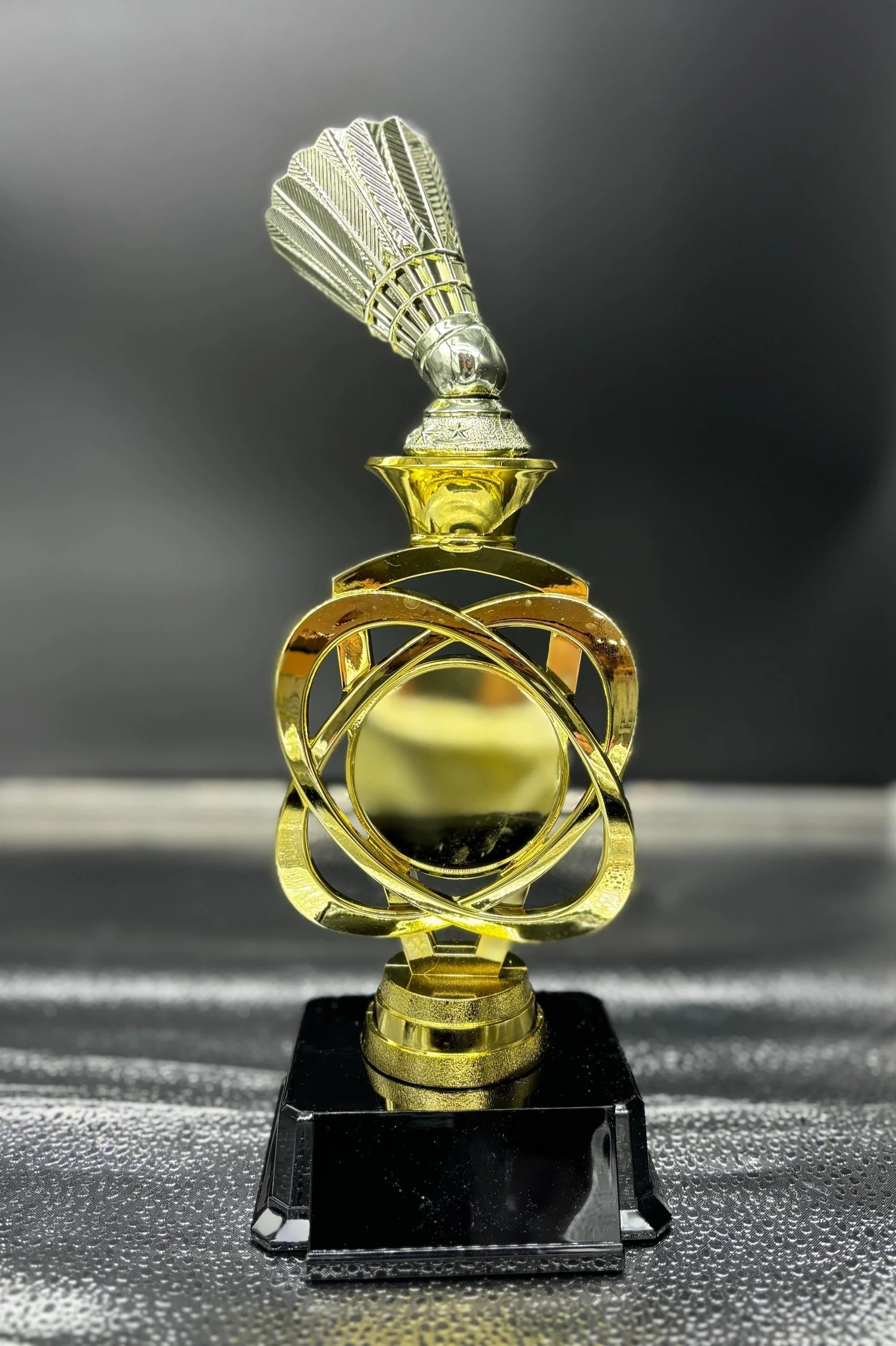 Badminton Trophies and Medals: Perfect for Highschool Tournaments ...