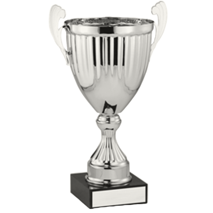 Metal Cups Canada 🏆 — Trophy Gallery Canada | Custom Trophies, Awards ...