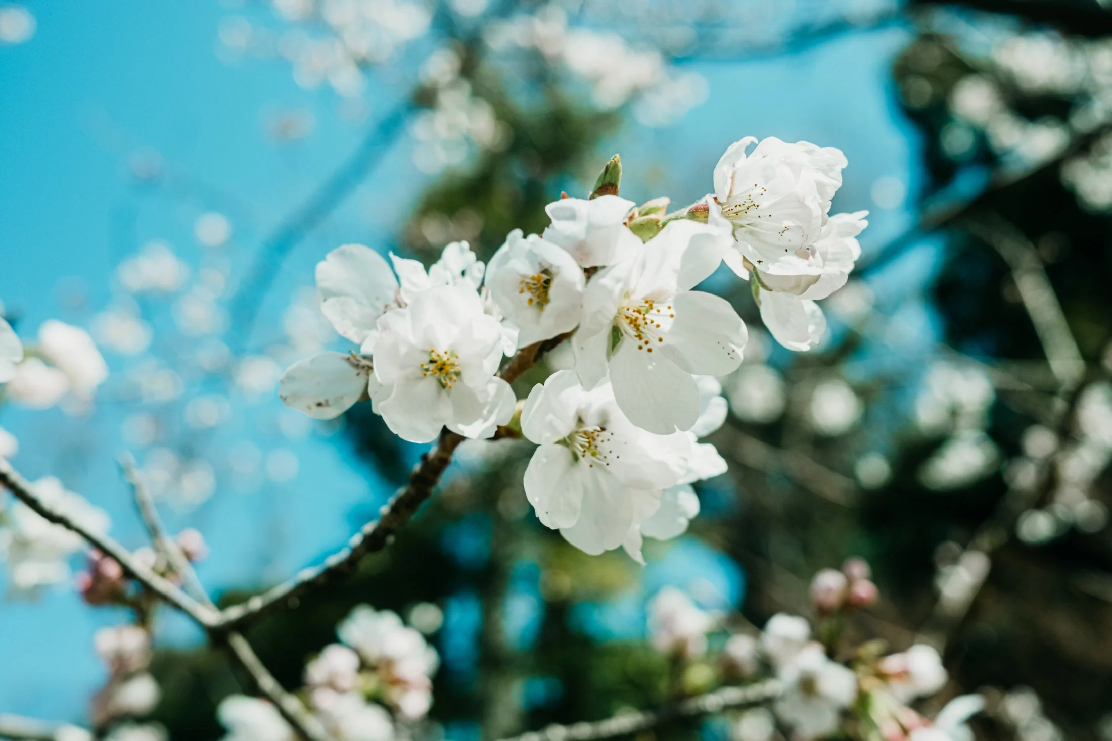 Asia Adventures — Bryony Dixon Photography