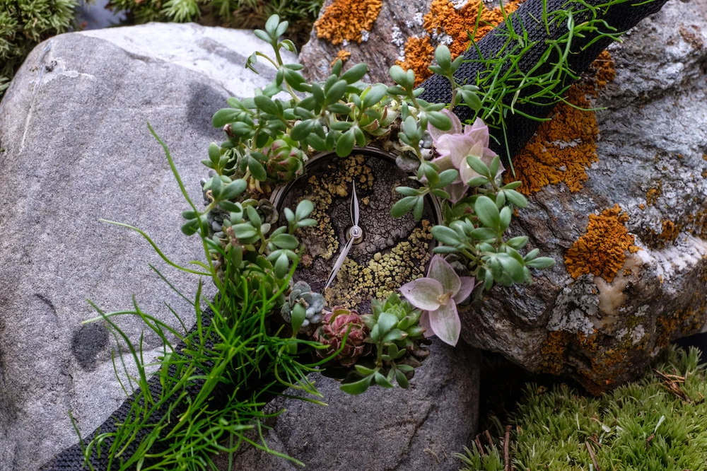 Pre-SIHH 2019: H. Moser Nature Watch. As Alive as Nature itself in a ...