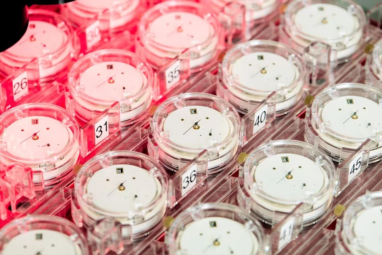 Perspective: COSC Raises the Bar. But How High? — WATCH COLLECTING ...