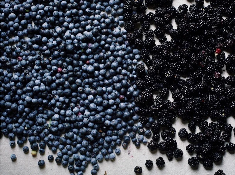 Summer — rinne allen