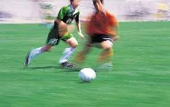 Sports Etiquette: Good Sports Behavior (For Parents) — Elaine Swann ...