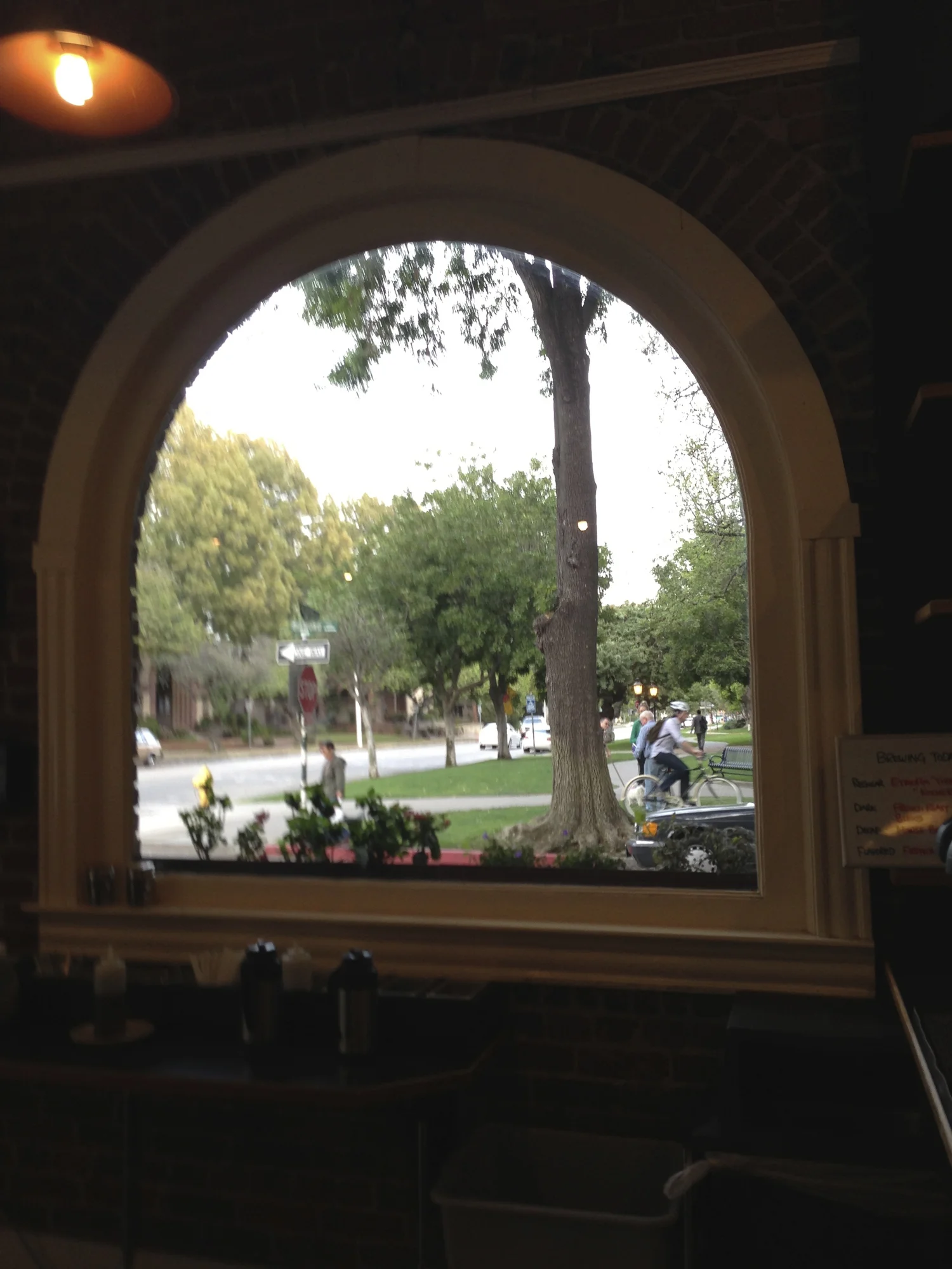 Characteristics of Gifted Adults — Gifted, Talented & Creative Adults