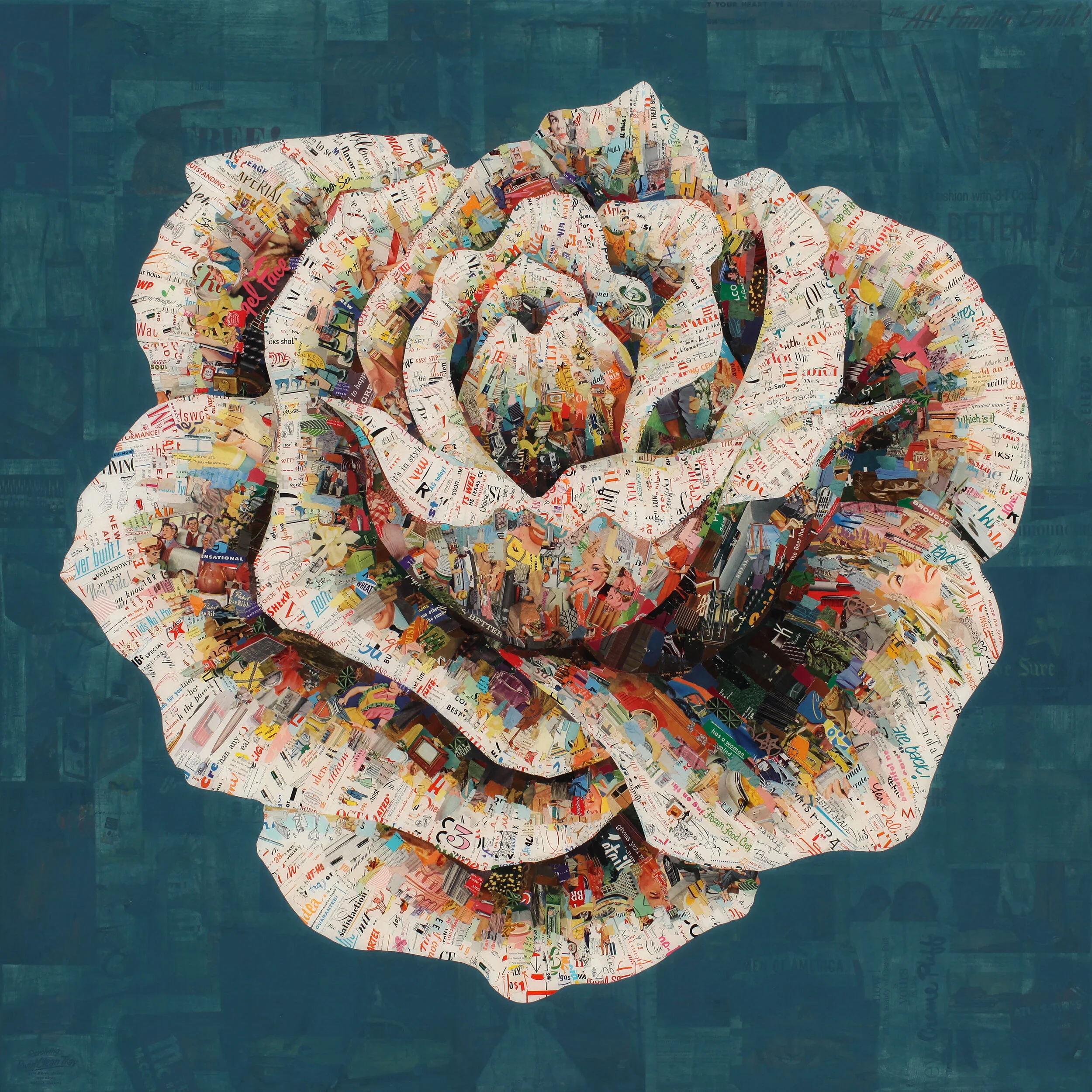 Nature Series — JAY KELLY | collage artist