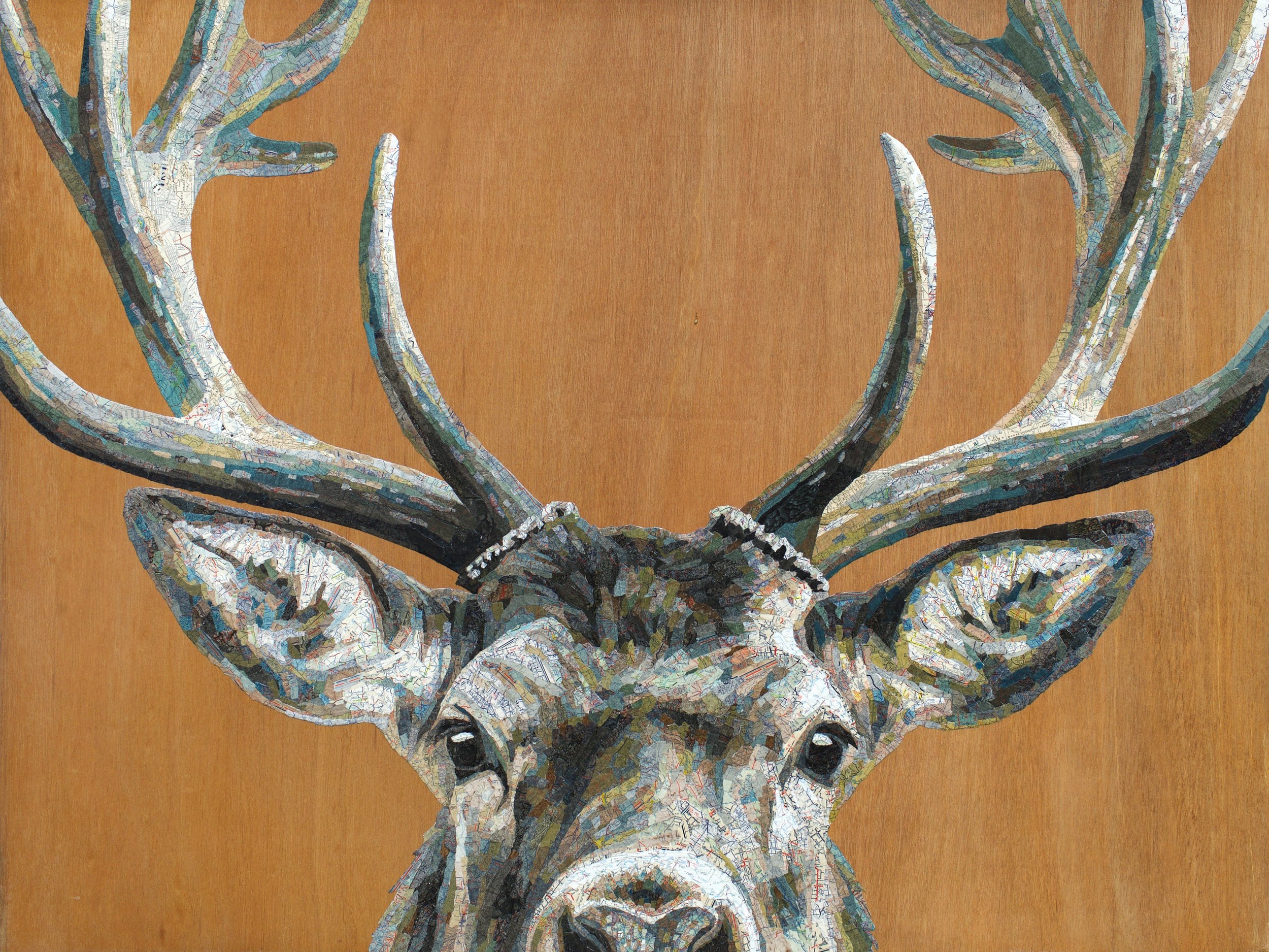 Nature Series — JAY KELLY | collage artist