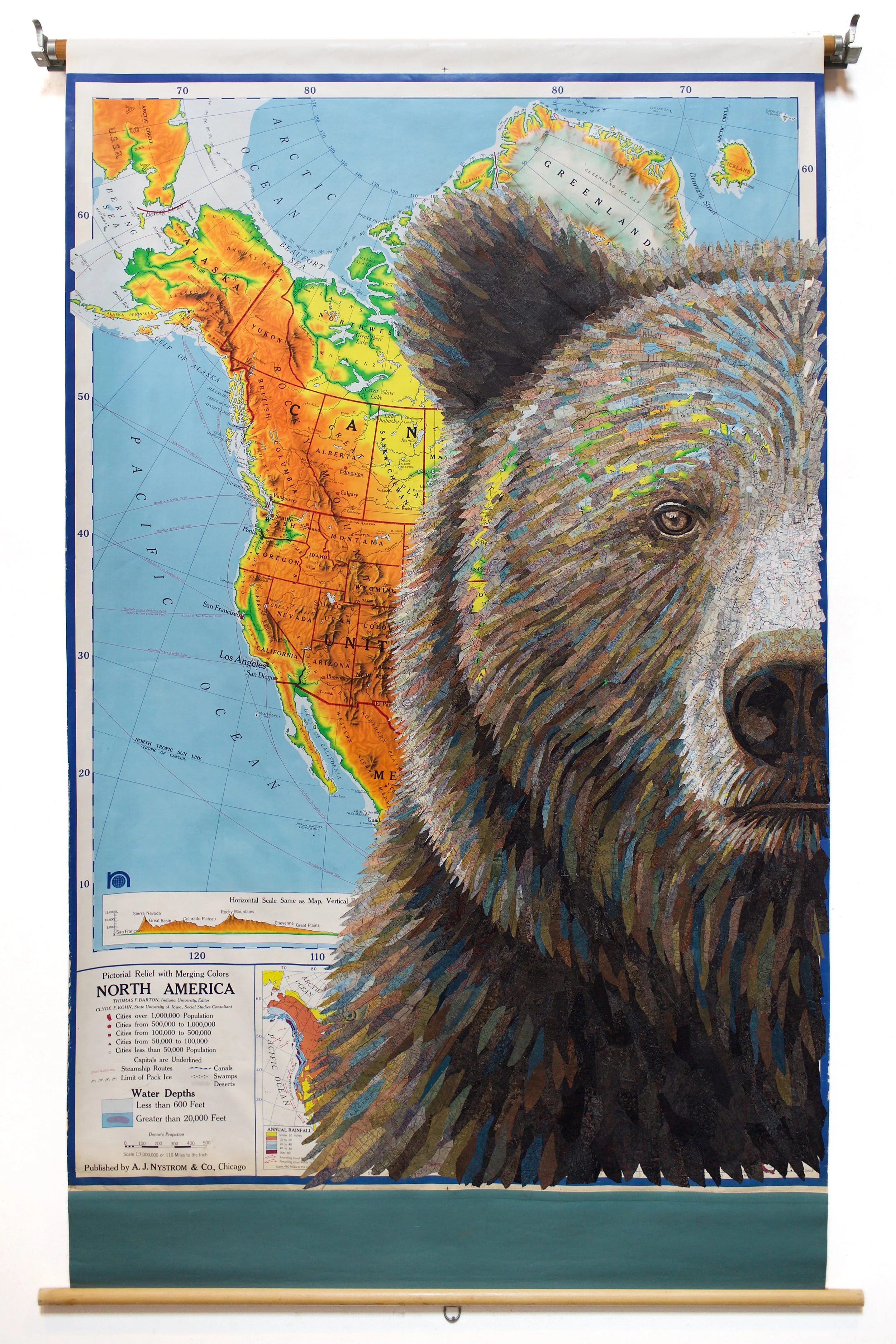 Nature Series — JAY KELLY | collage artist