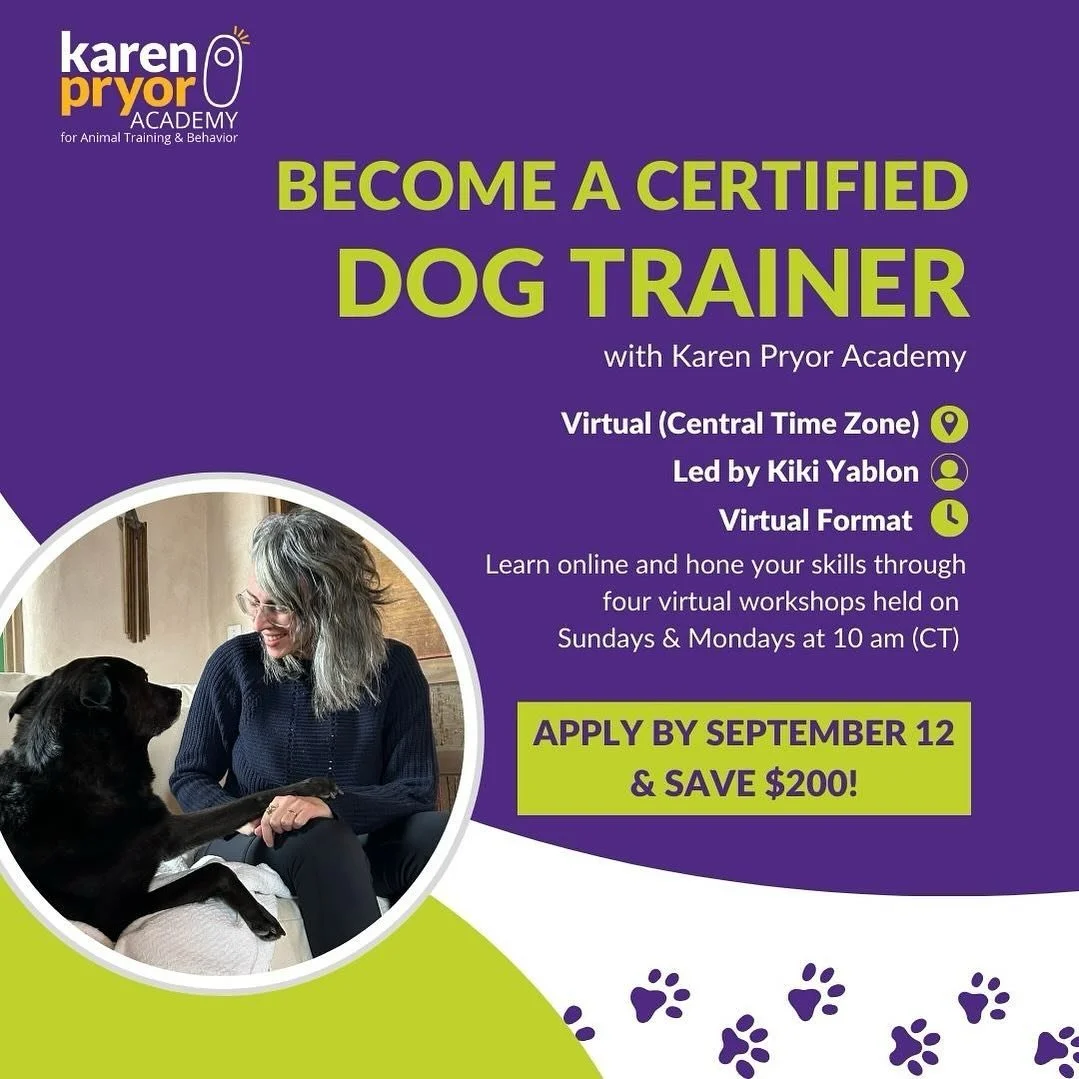 Kiki Yablon Dog Training — Chicago, Illinois