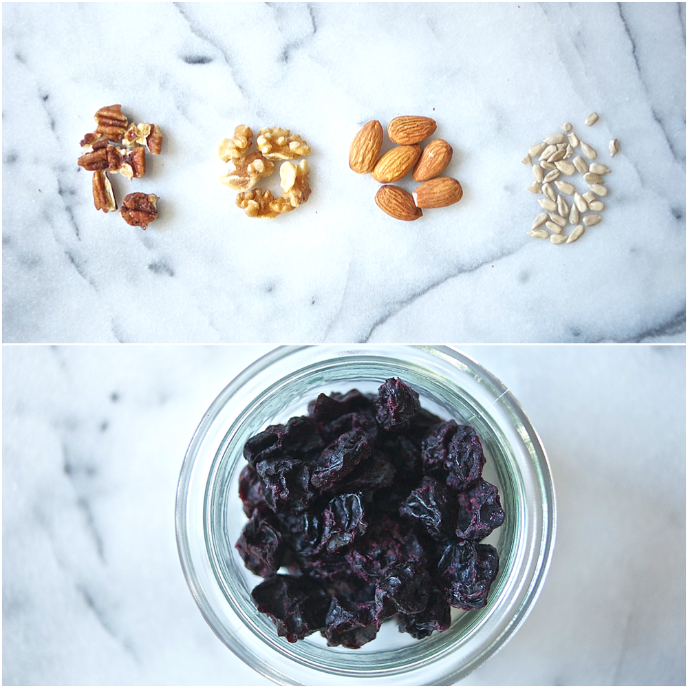 blueberry nut + seed bars — dolly and oatmeal