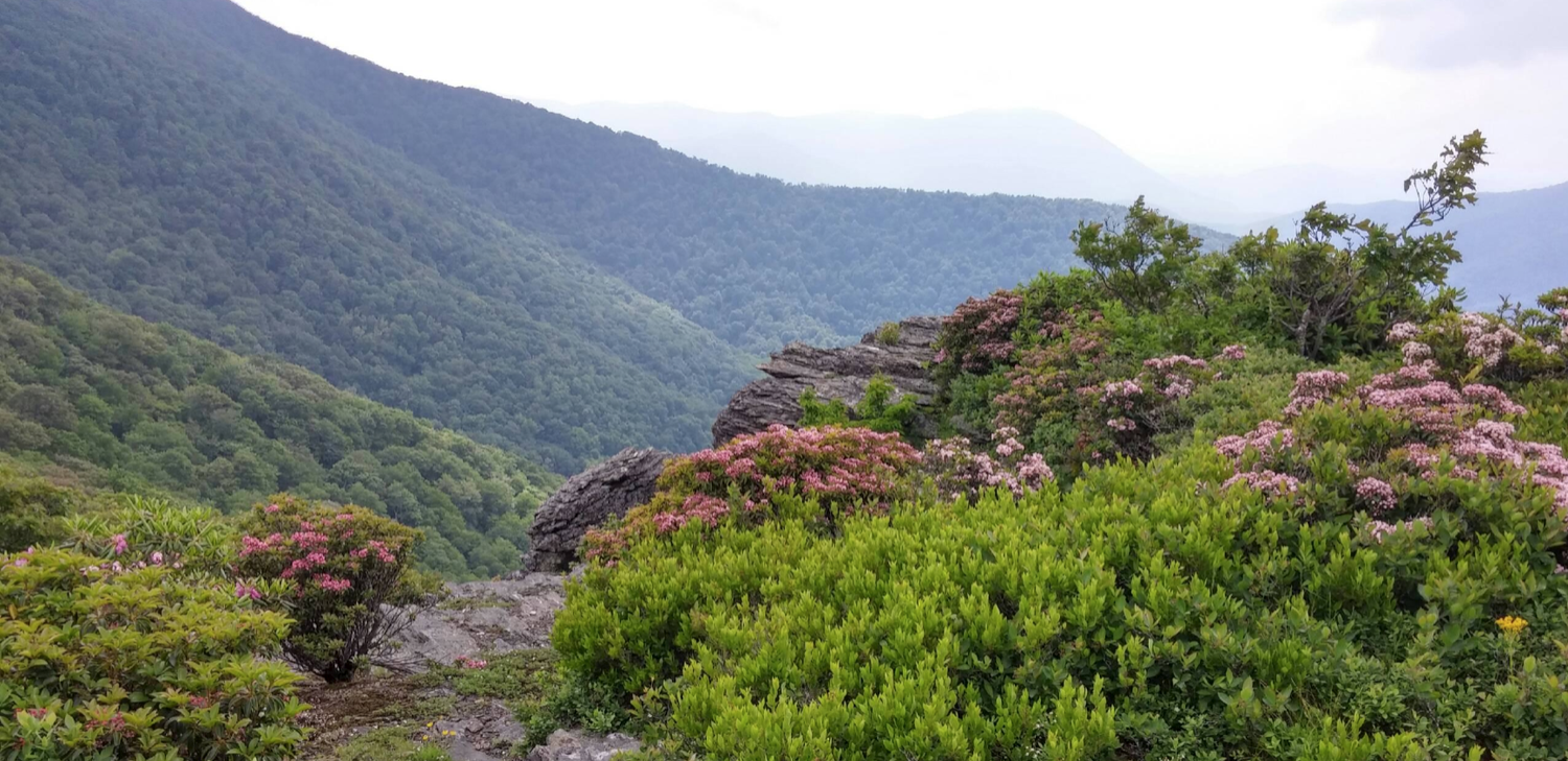 About the Blue Ridge Mountains — Blue Ridge Discovery Center