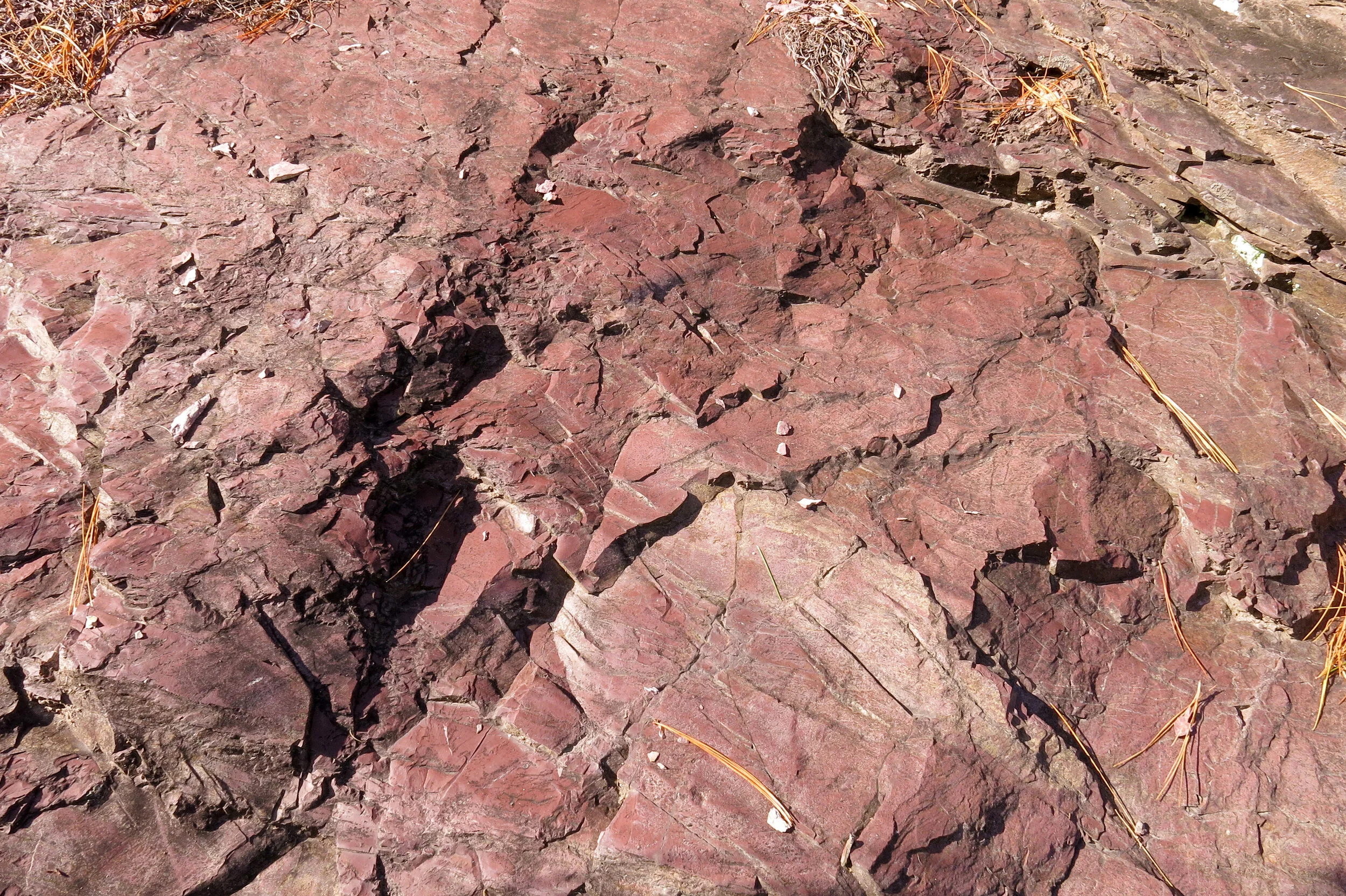 Conglomerates and Dropstones — Blue Ridge Discovery Center