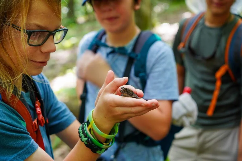 Summer Camps Overview — Blue Ridge Discovery Center