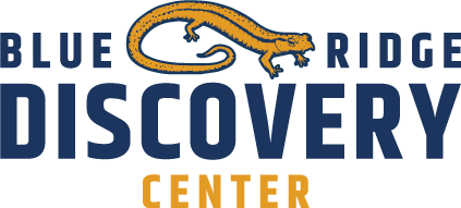 Discovery Zone Logo