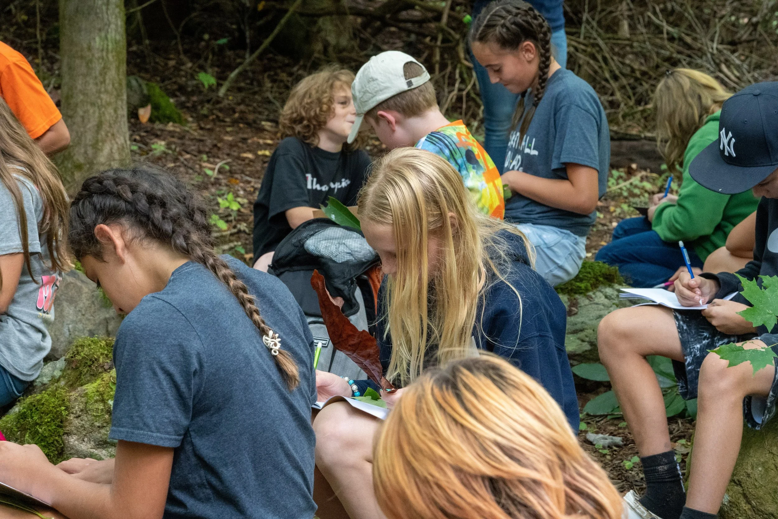 School Programs — Blue Ridge Discovery Center