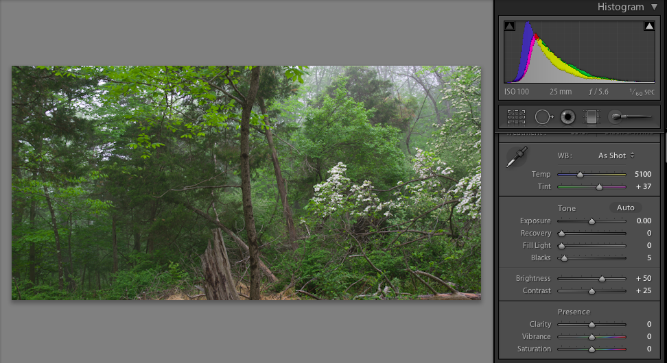 Working With Multiple Virtual Copies — Black and White Mastery