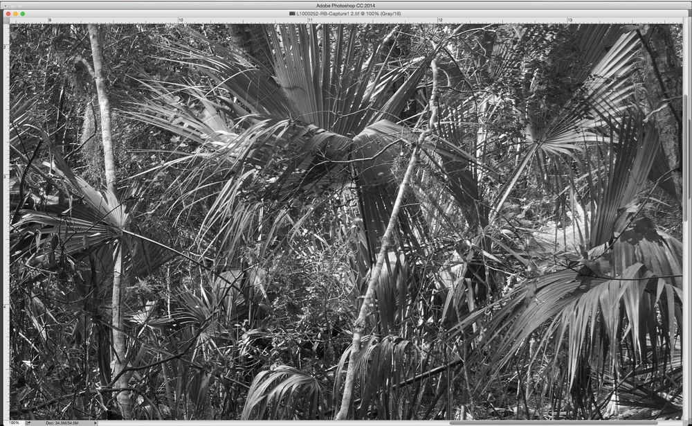 Detail Enhancements Using Unsharp Mask Filters and Layer Mask ...