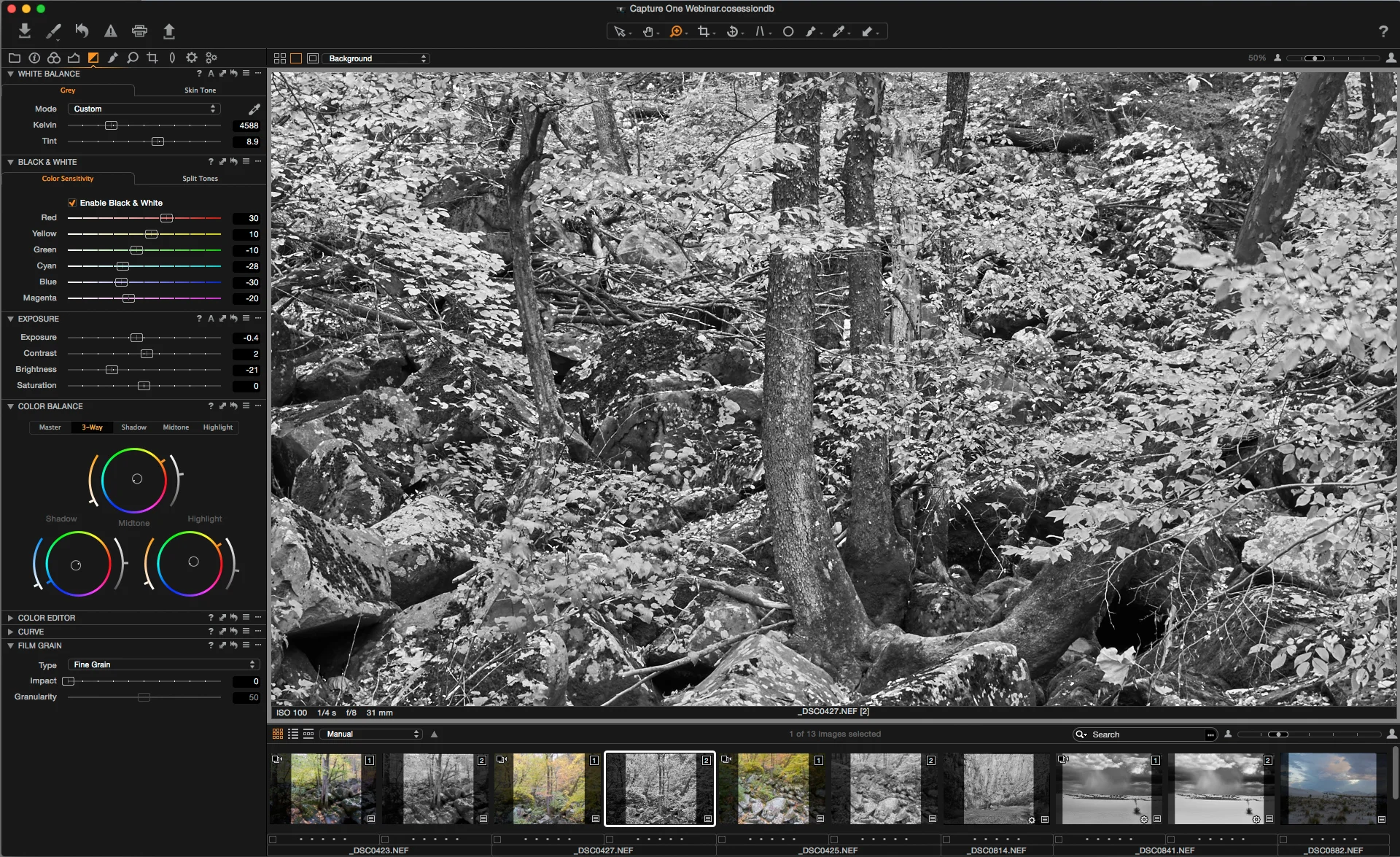 Capture One Pro Black and White Webinar — Black and White Mastery