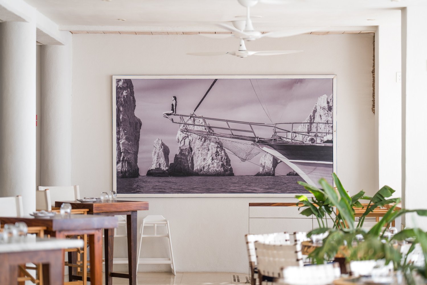 Ben Horton - Commercial Photographer and TV Host