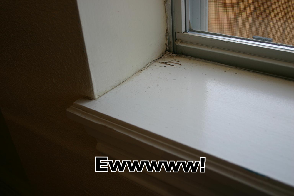 Window sills.... — Beckwith's Treasures