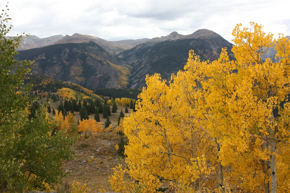Decorating with the traditional colors of fall! — Beckwith's Treasures