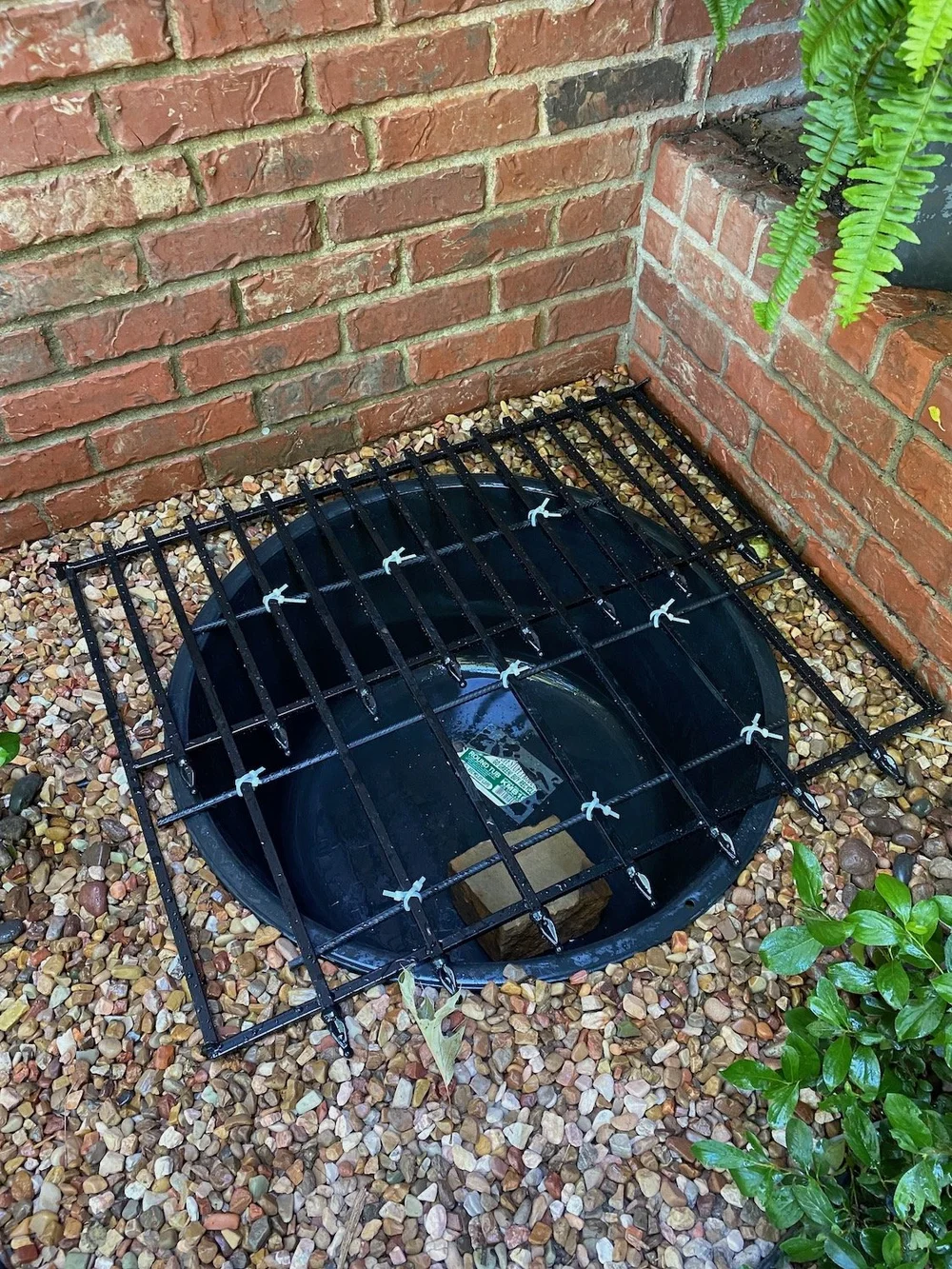 Beckwith's Treasures