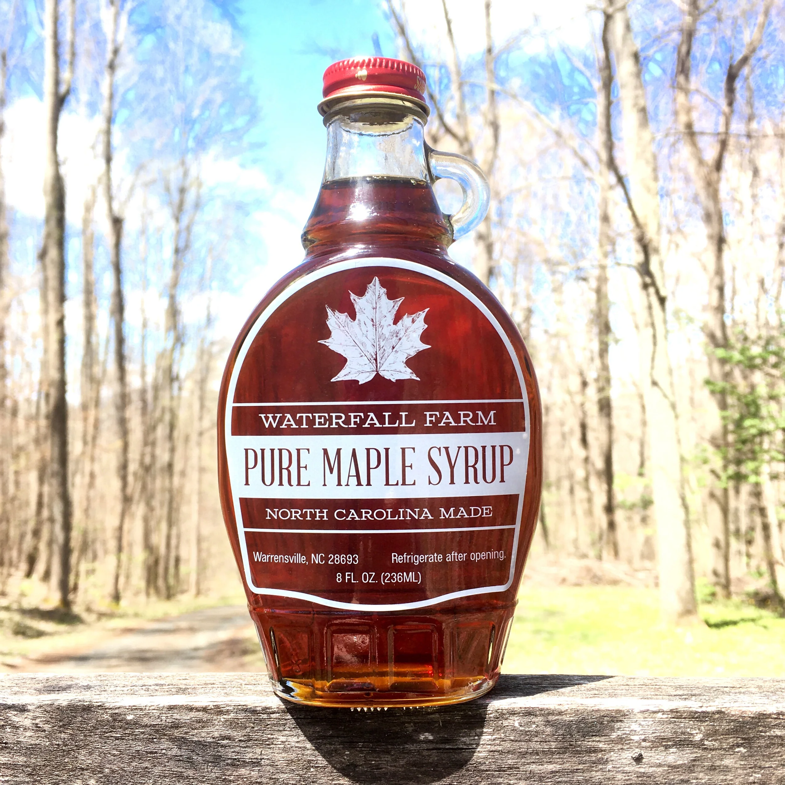 Maple Tree Syrup
