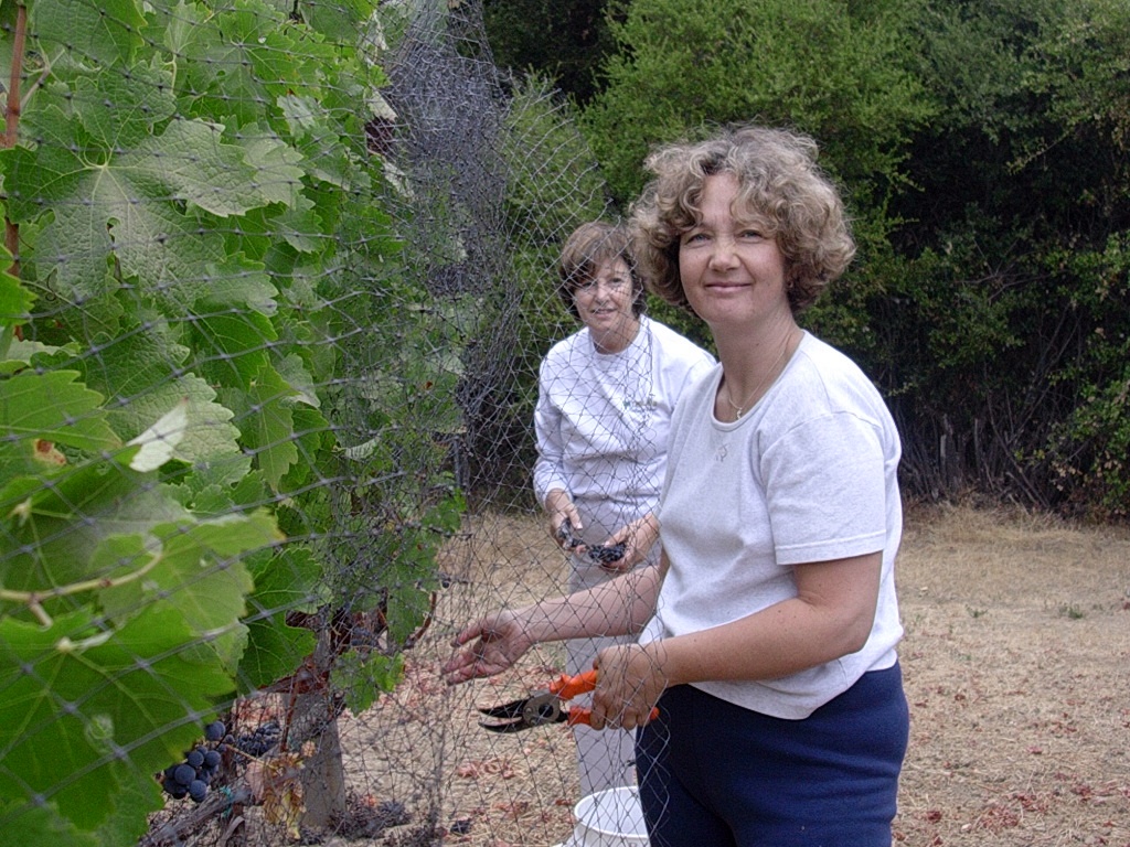2003 Vintage — Chateau Hetsakais