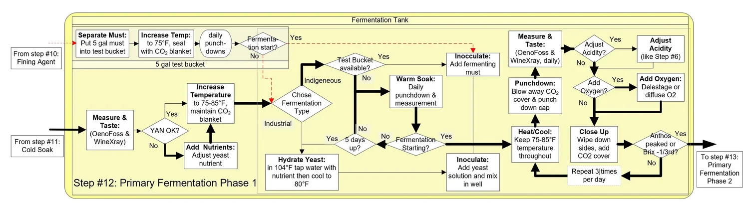 Step #12: Primary Fermentation - Phase 1 — Chateau Hetsakais