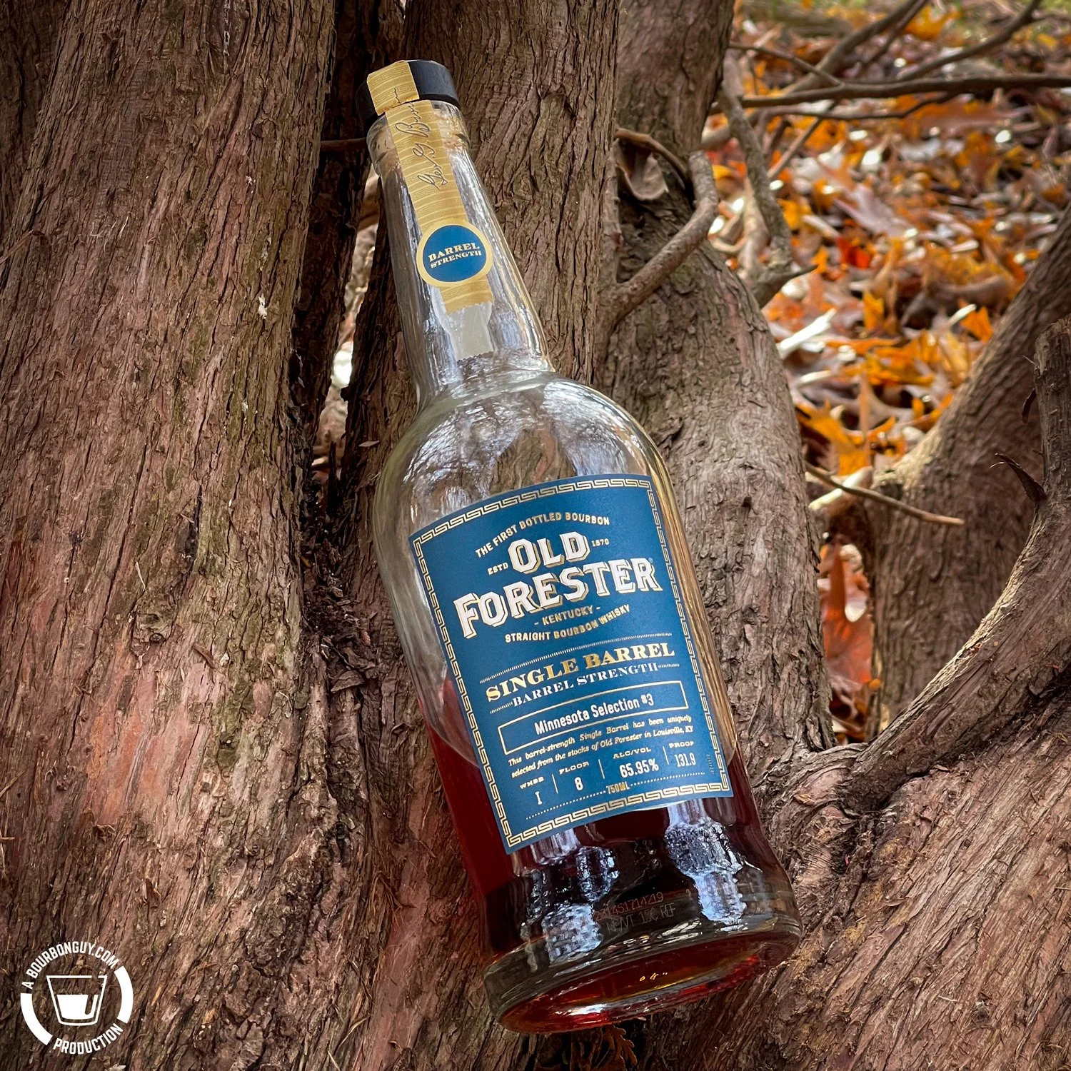 2023 BourbonGuy.com Bourbon of the Year: Old Forester Single Barrel ...