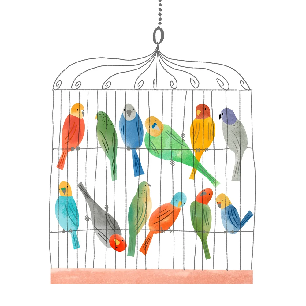 Jamie Bennett Illustration