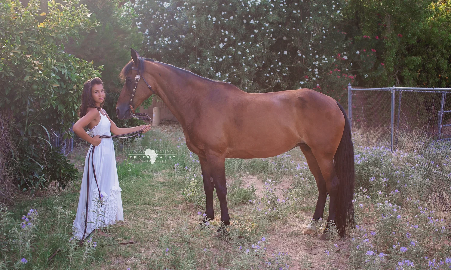 Megan//Tween-Ponies and Pearls//Arizona Child Photographer Gilbert ...