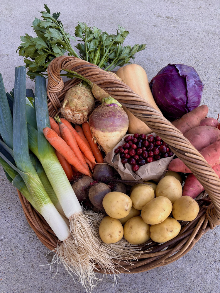 CSA 2025 - Week #21 (A) — Long Island CSA Farm Shares - Certified Organic