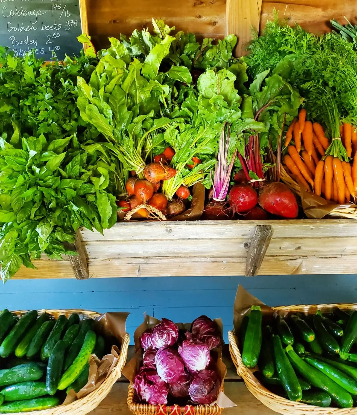 Golden Earthworm Organic Farm - Long Island & Queens CSA