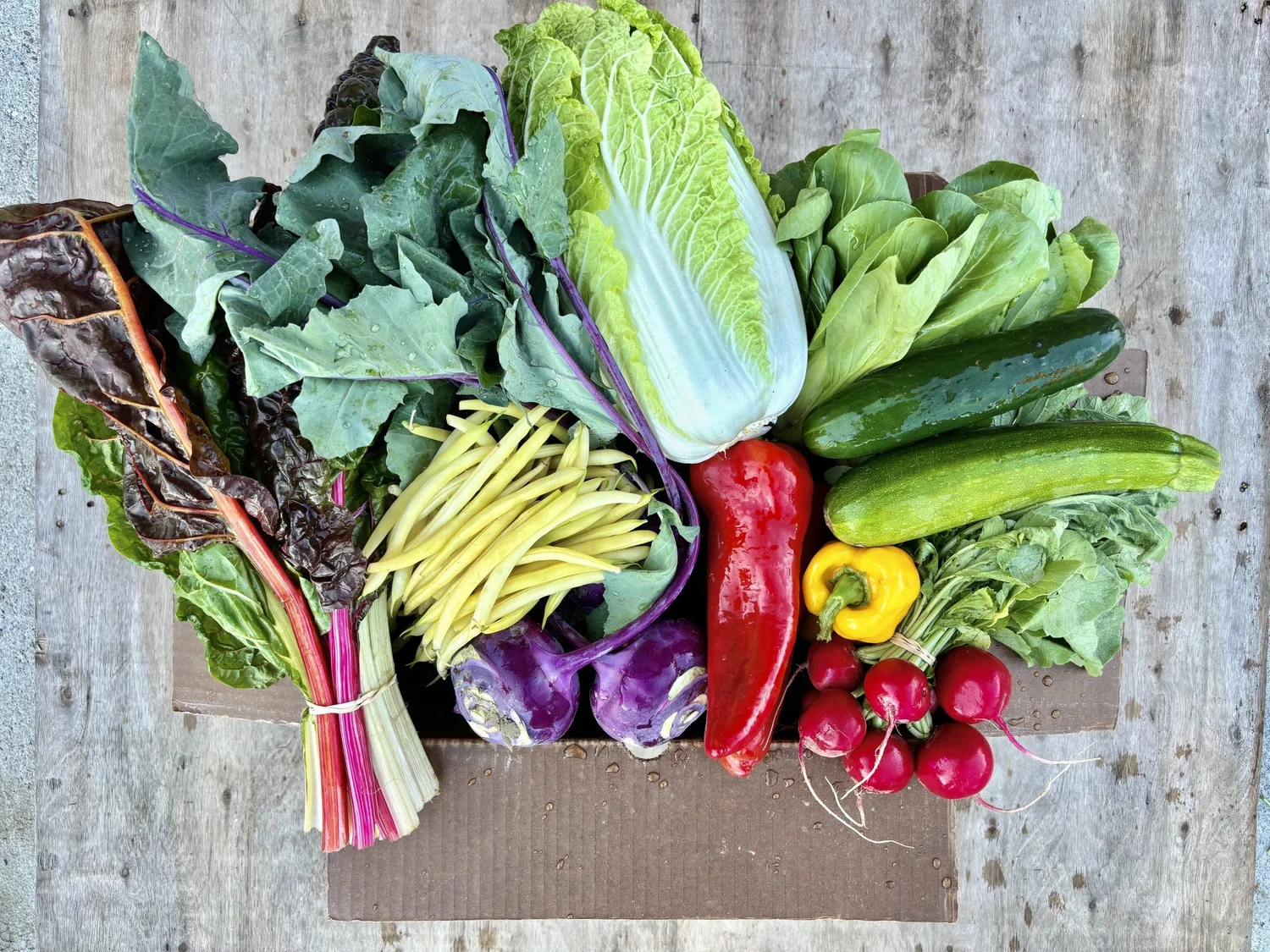 Long Island CSA Farm Shares - Certified Organic