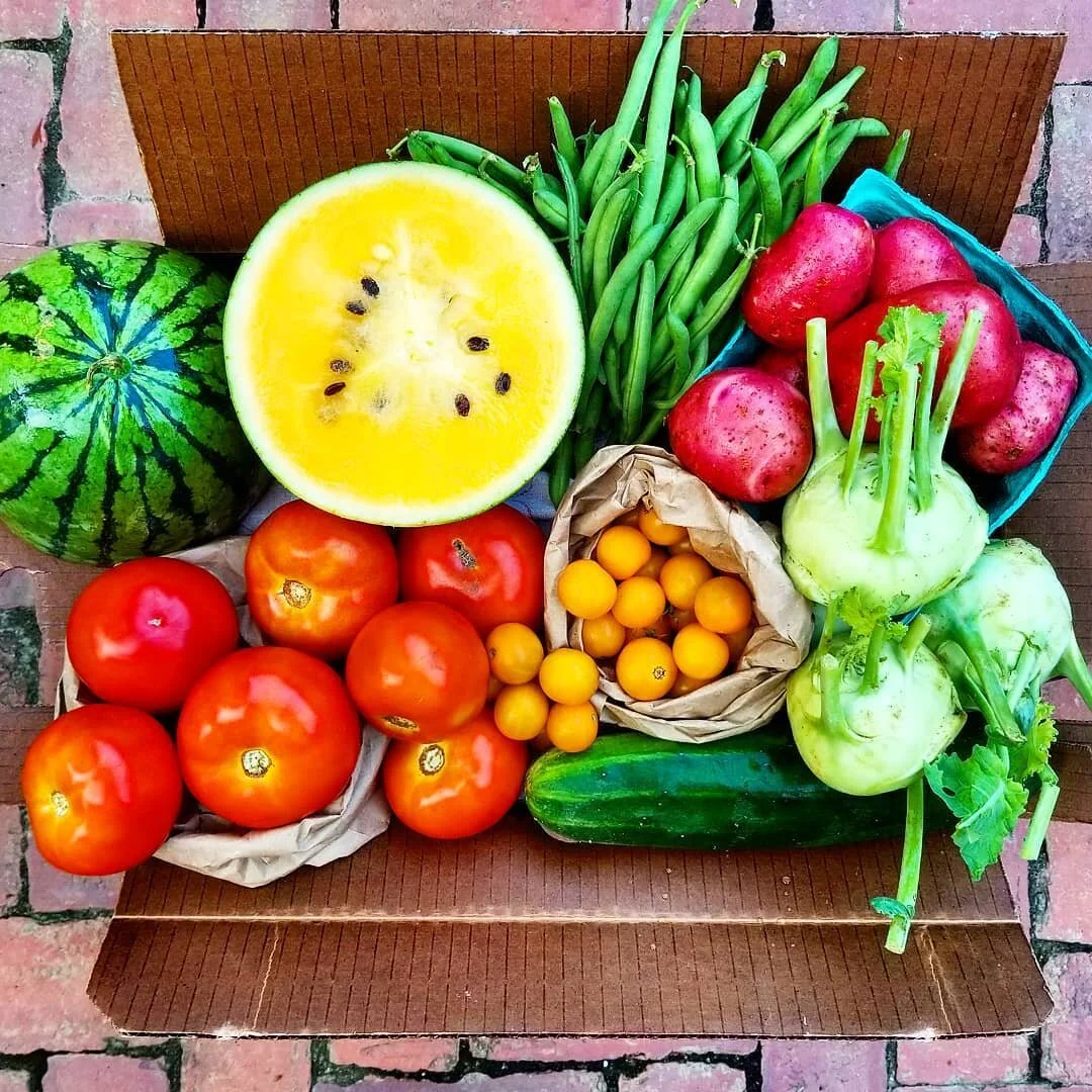 Long Island CSA Farm Shares - Certified Organic