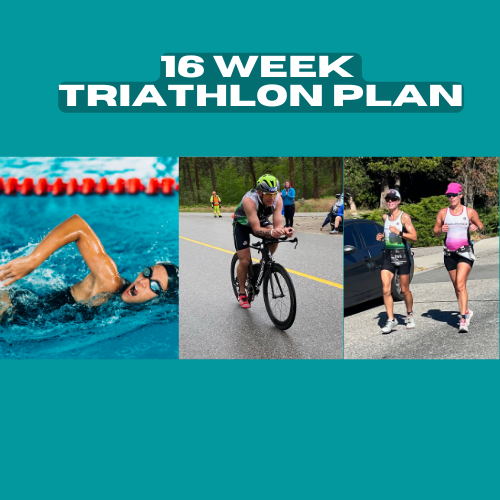 16 Week Triathlon Program — Endurance Journey Coaching