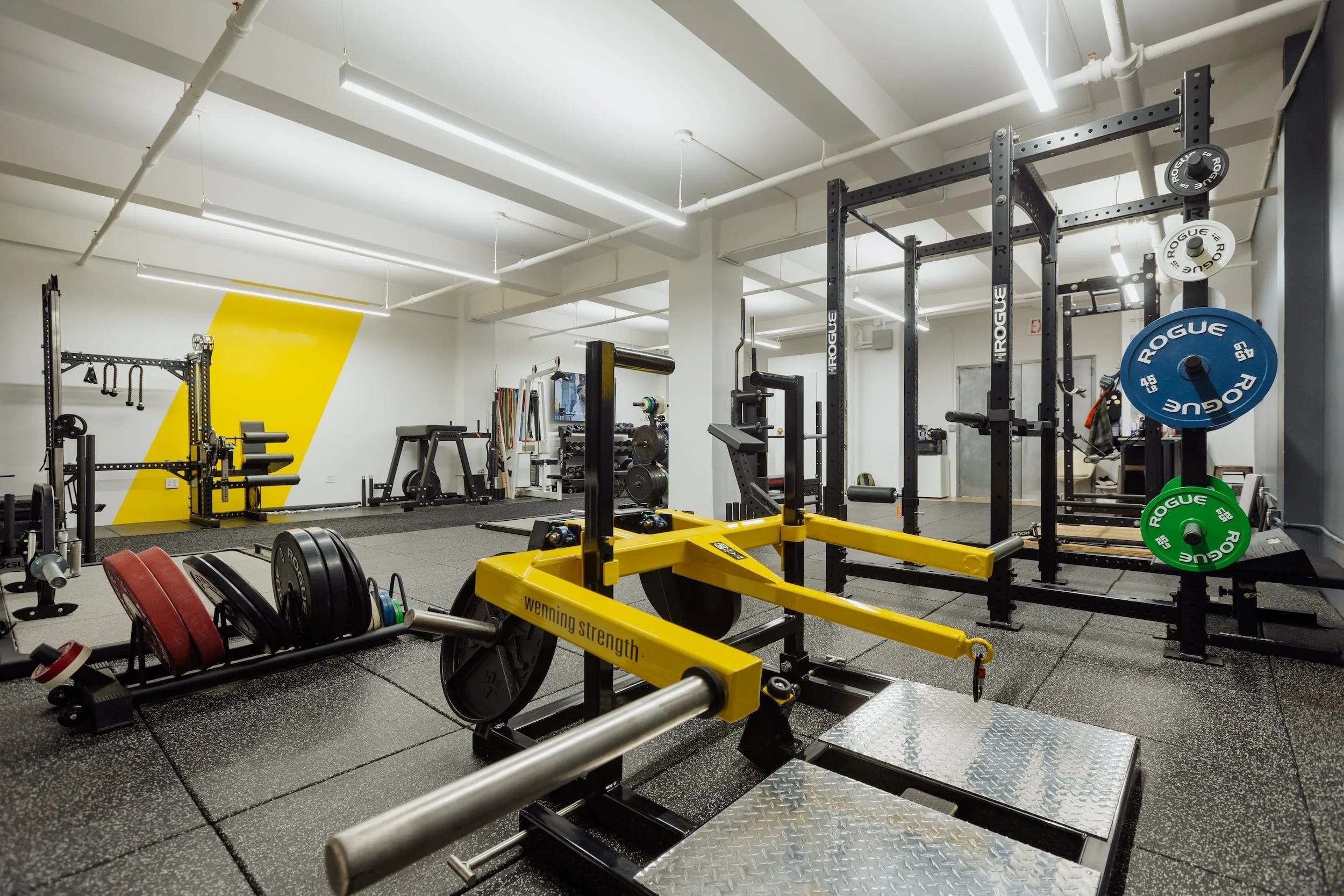 The DiSalvo Performance Gym — DiSalvo Performance Training