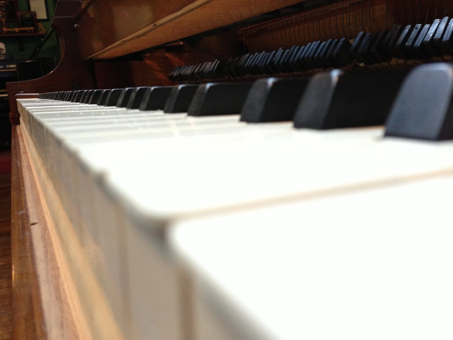 Piano Jack - This is what I do.