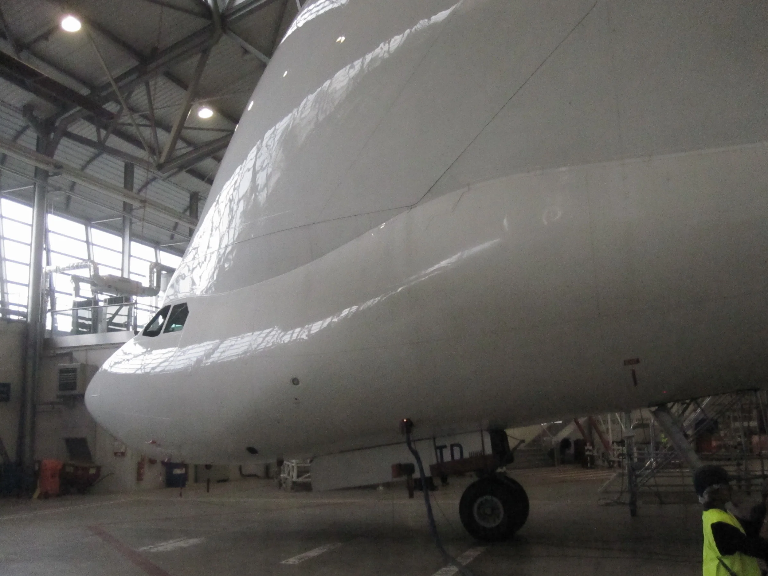 Visiting the home of the Beluga — Allplane