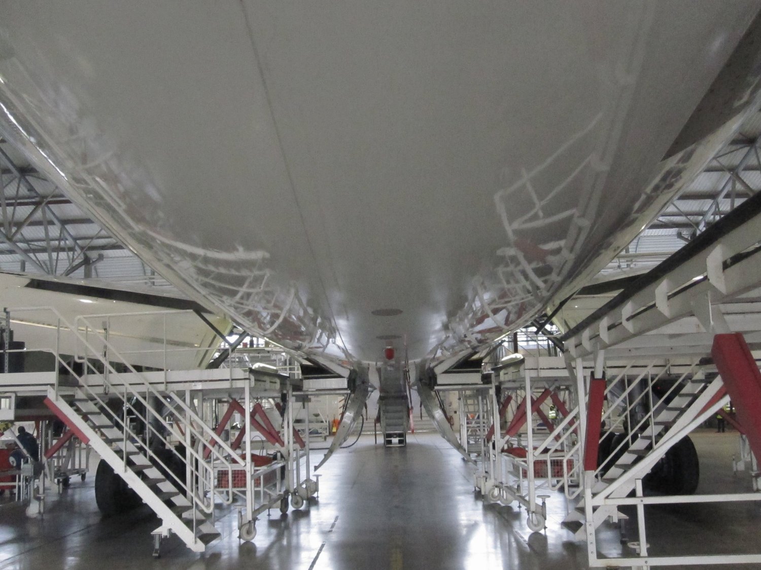Visiting the home of the Beluga — Allplane