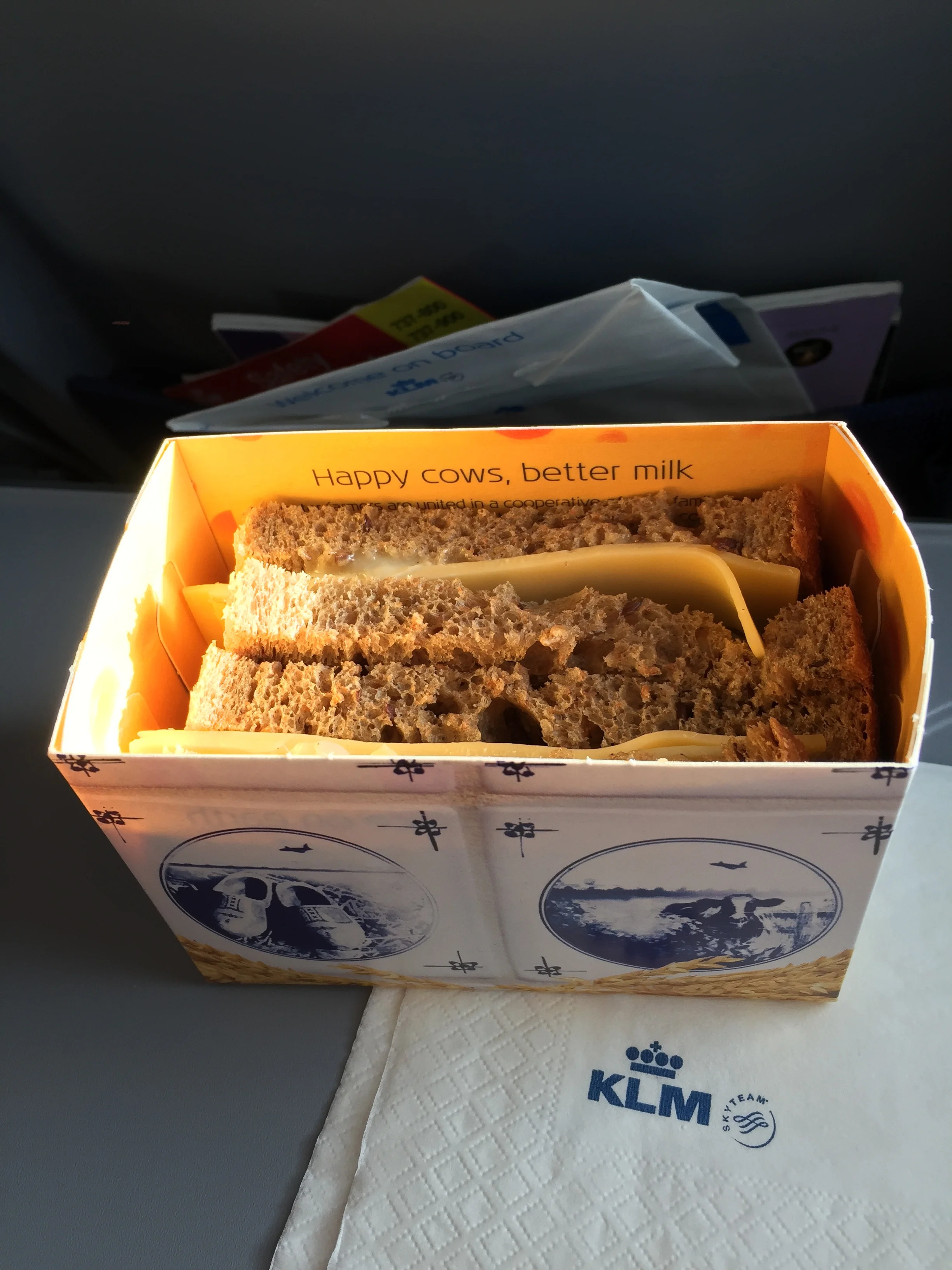 Flight Review: KLM Economy Class (B737-800 & A330) — Allplane