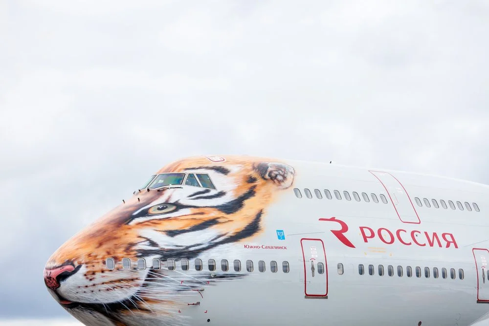 Metamorphosis: Airliners that look like Animals — Allplane