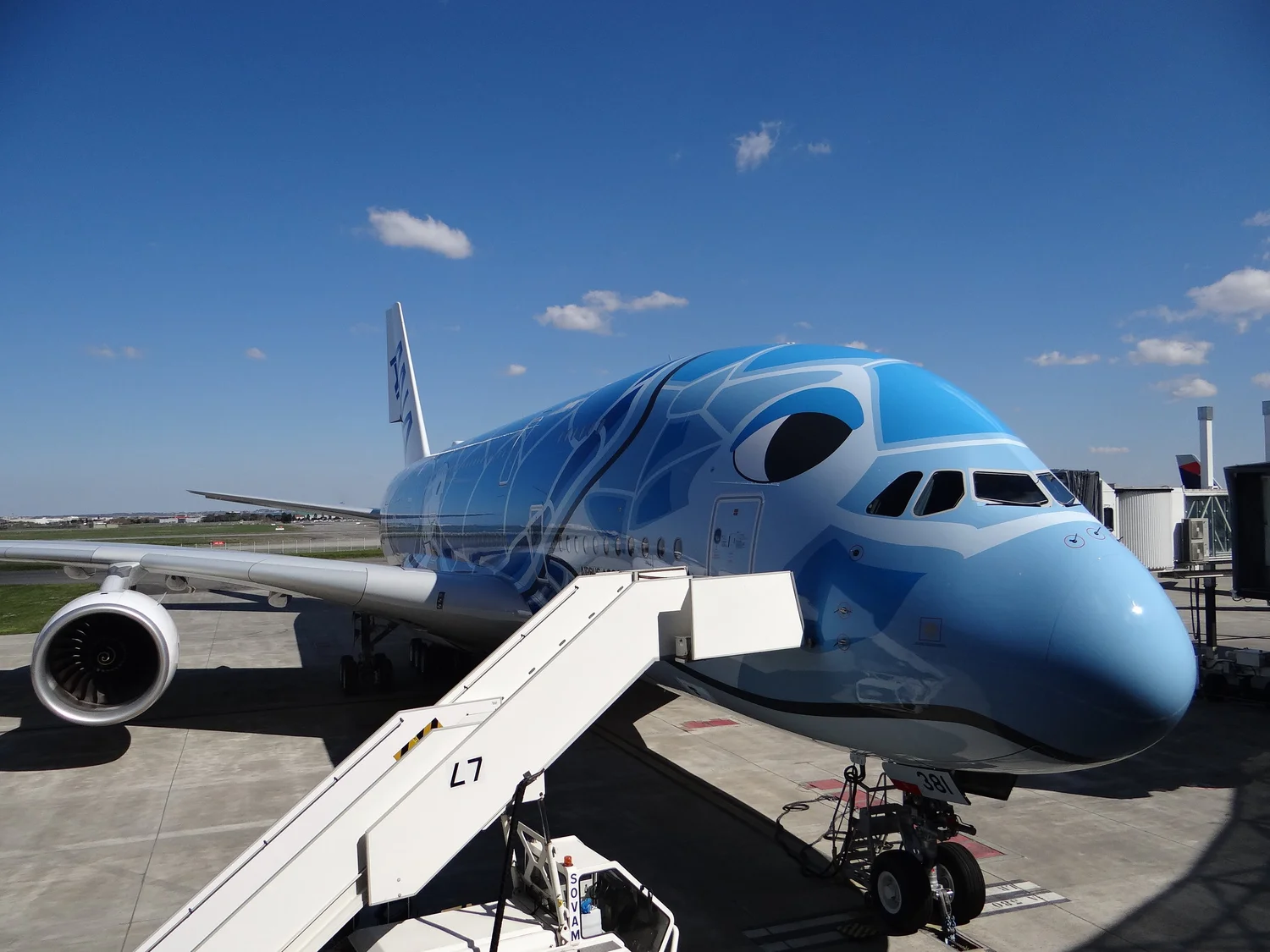 Welcoming Japan's first A380: ANA's Flying Honu — Allplane