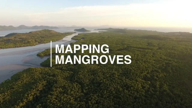 Mapping Mangroves — PGA Branding