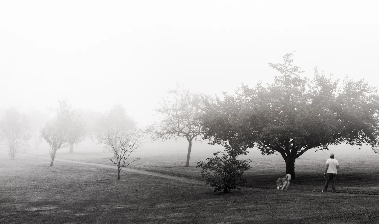 Early Morning Foggy Landscapes — Write Lighting | Photography | Videos ...