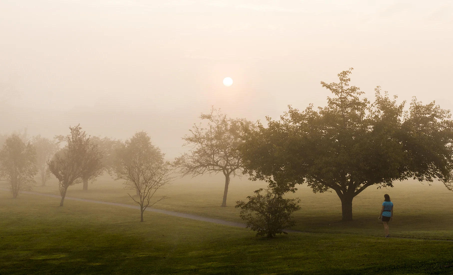 Early Morning Foggy Landscapes — Write Lighting | Photography | Videos ...